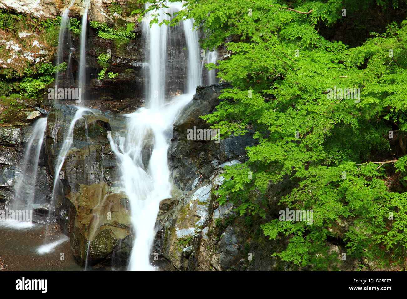 Otodoro waterfall, Tokushima Prefecture Stock Photo - Alamy