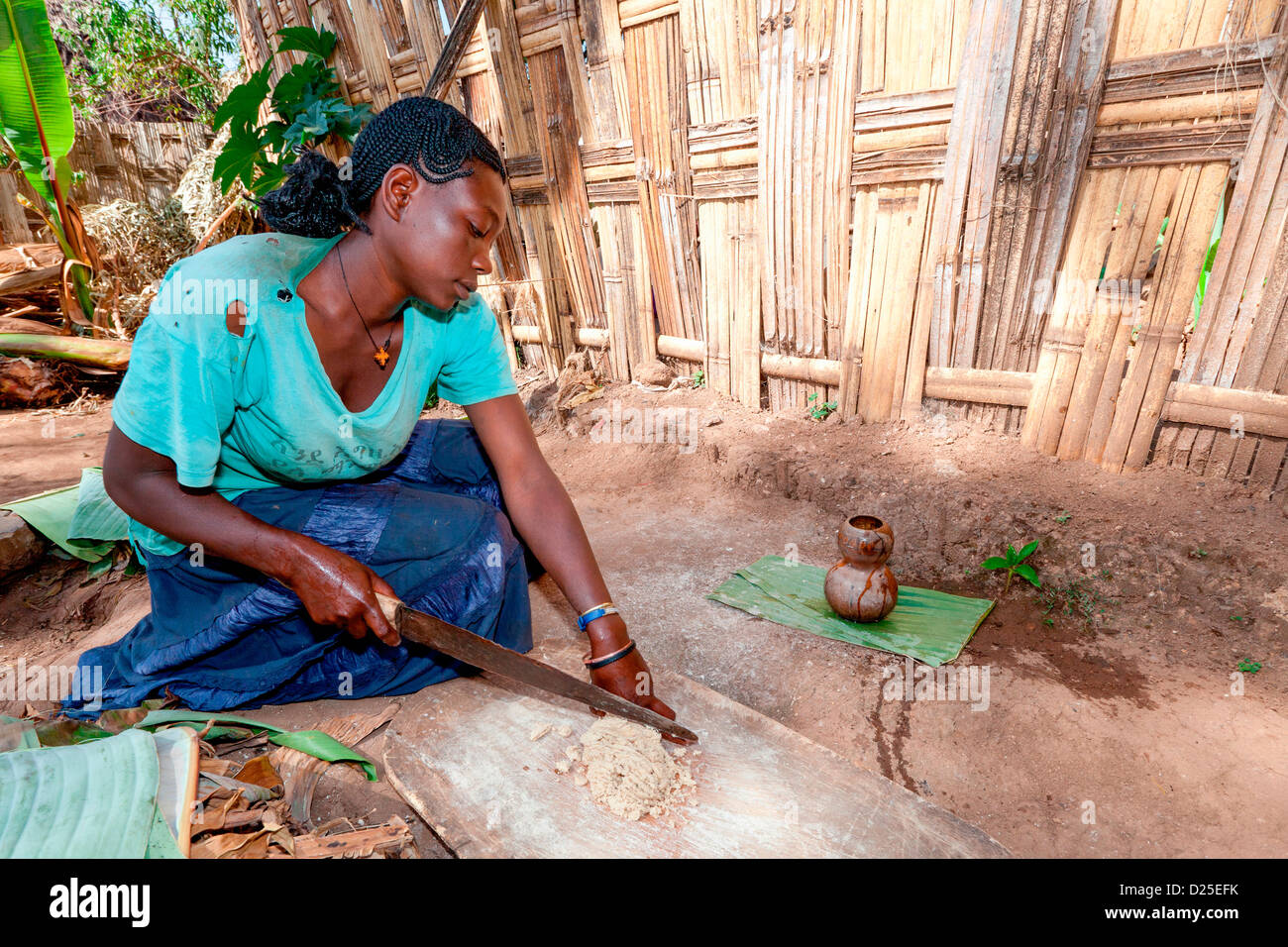 Enset hi-res stock photography and images - Alamy