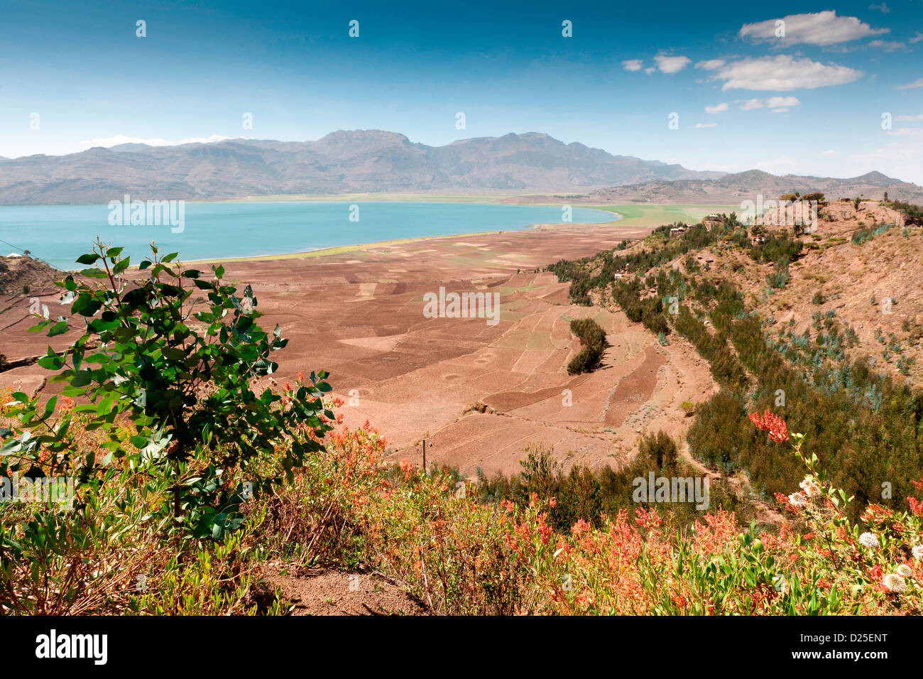 Korem hi-res stock photography and images - Alamy