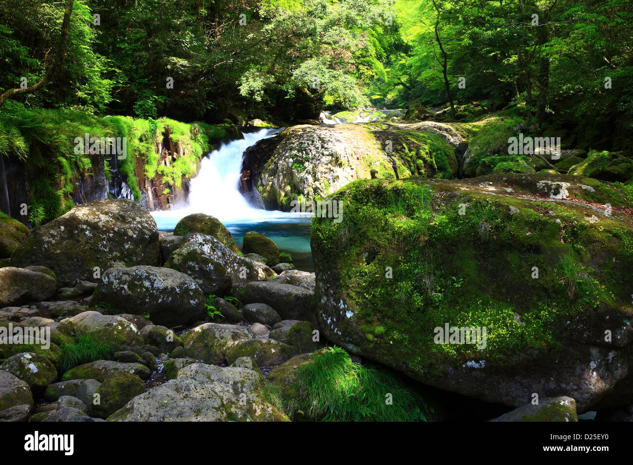 Waterfall in Kikuchi valley, Kumamoto Prefecture Stock Photo - Alamy