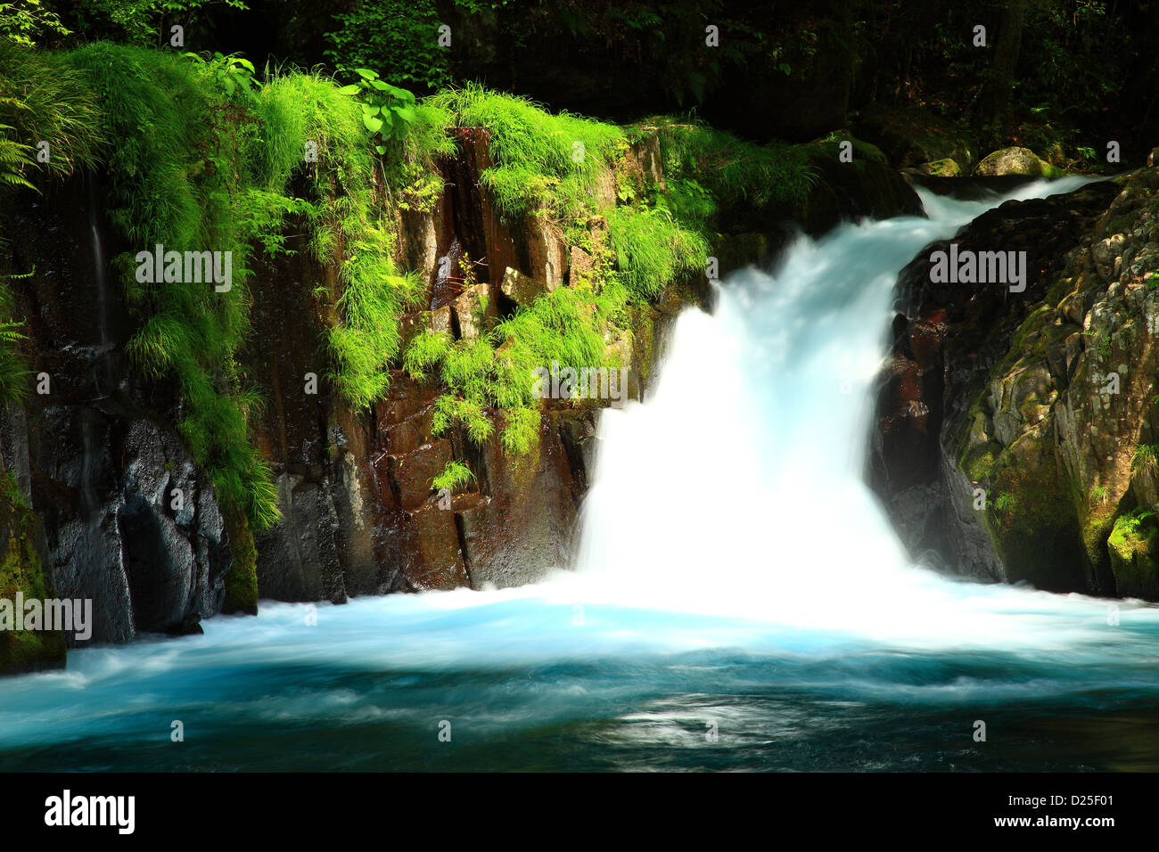 Kikuchi hi-res stock photography and images - Alamy