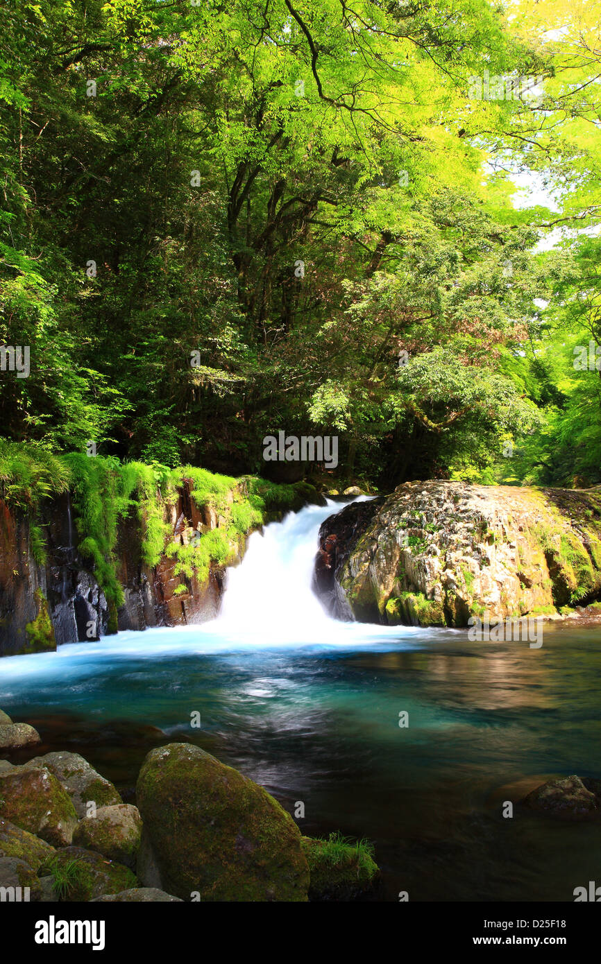 Waterfall in Kikuchi valley, Kumamoto Prefecture Stock Photo - Alamy