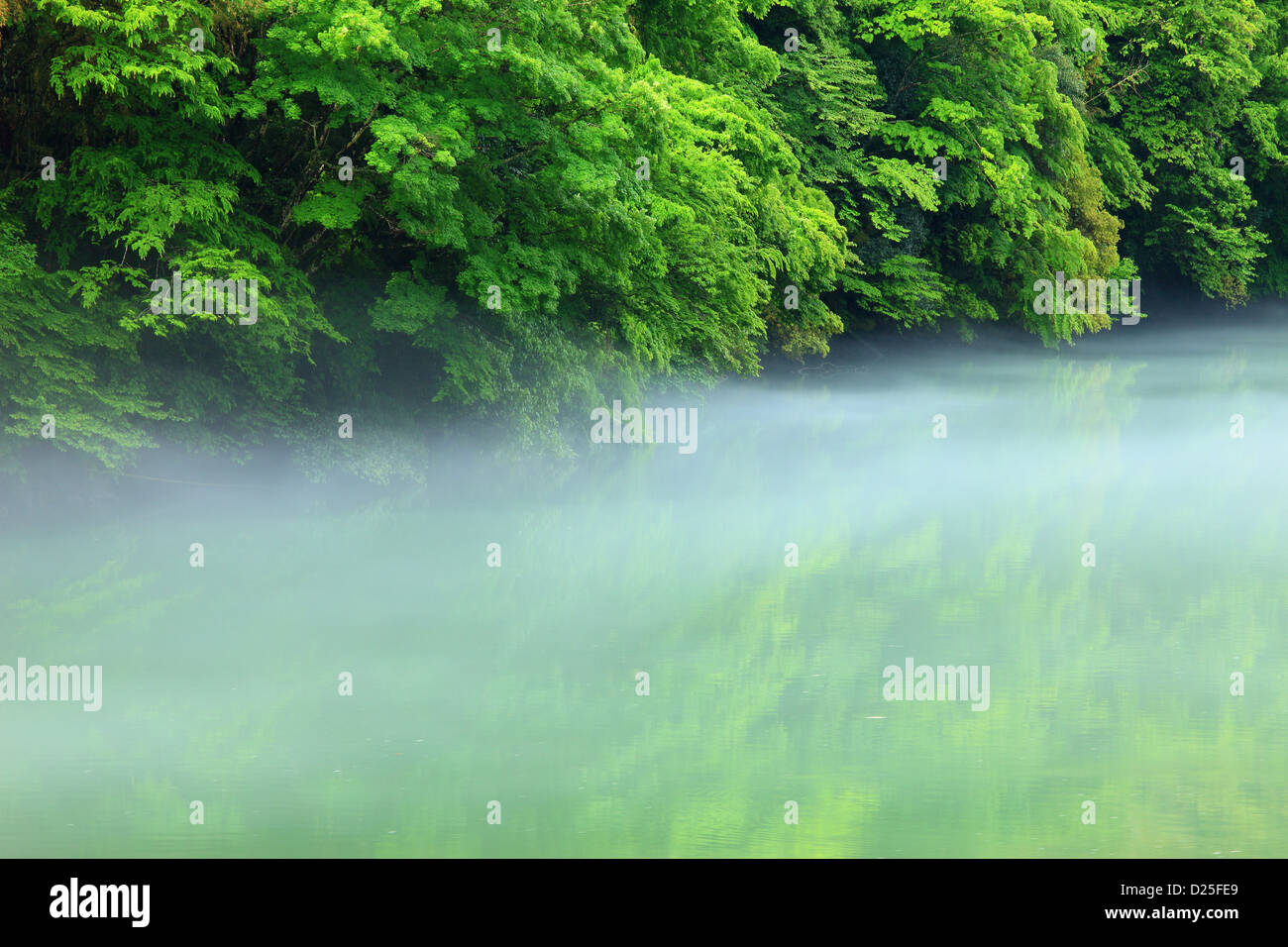 Kasagi dam hi-res stock photography and images - Alamy