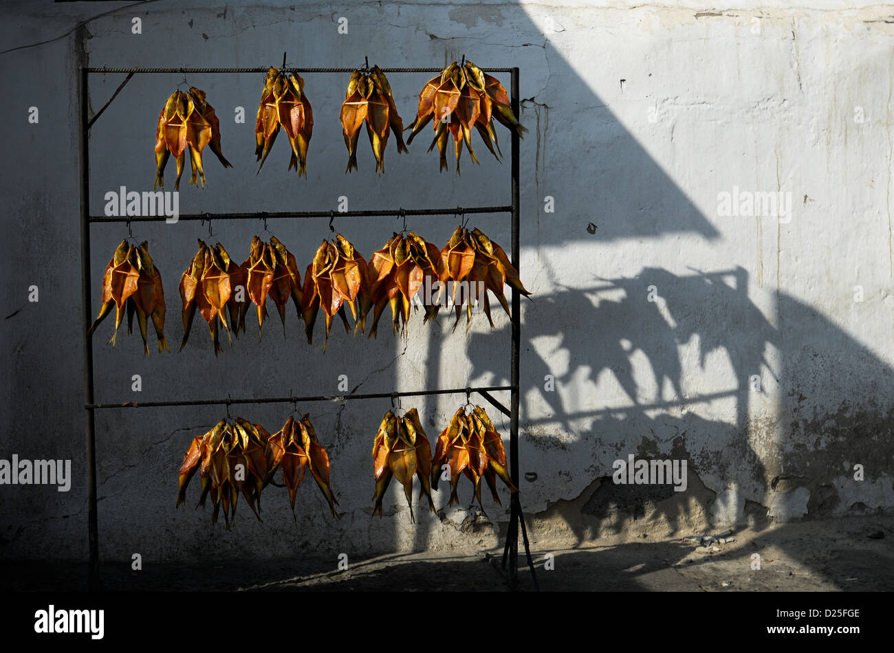 Smoked herring fish in Balykchy town fish market, Issyk-Kul lake ...