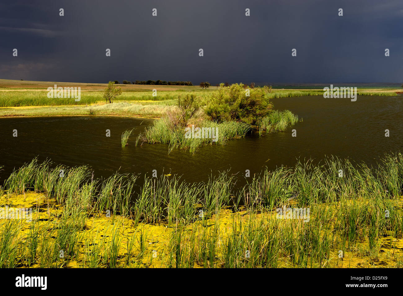 Thunderstorm in Kazakhstan steppe Stock Photo - Alamy