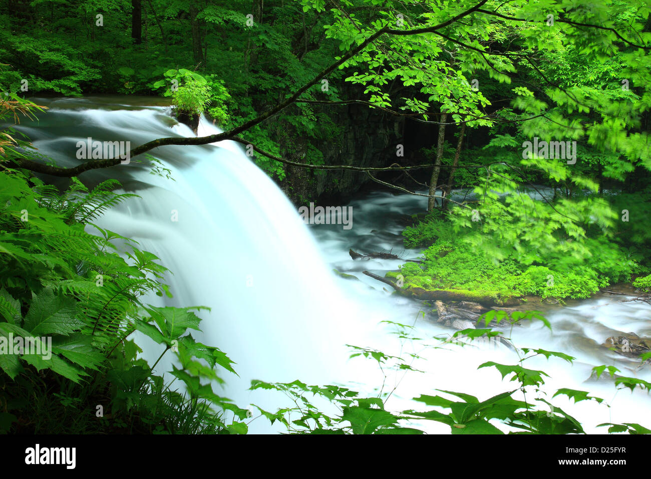 Choshi waterfall, Aomori Prefecture Stock Photo - Alamy