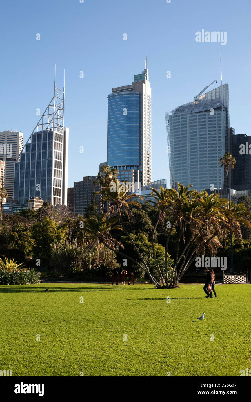 The green grass of the Royal Botanic Gardens with Sydney CBD high-rise ...