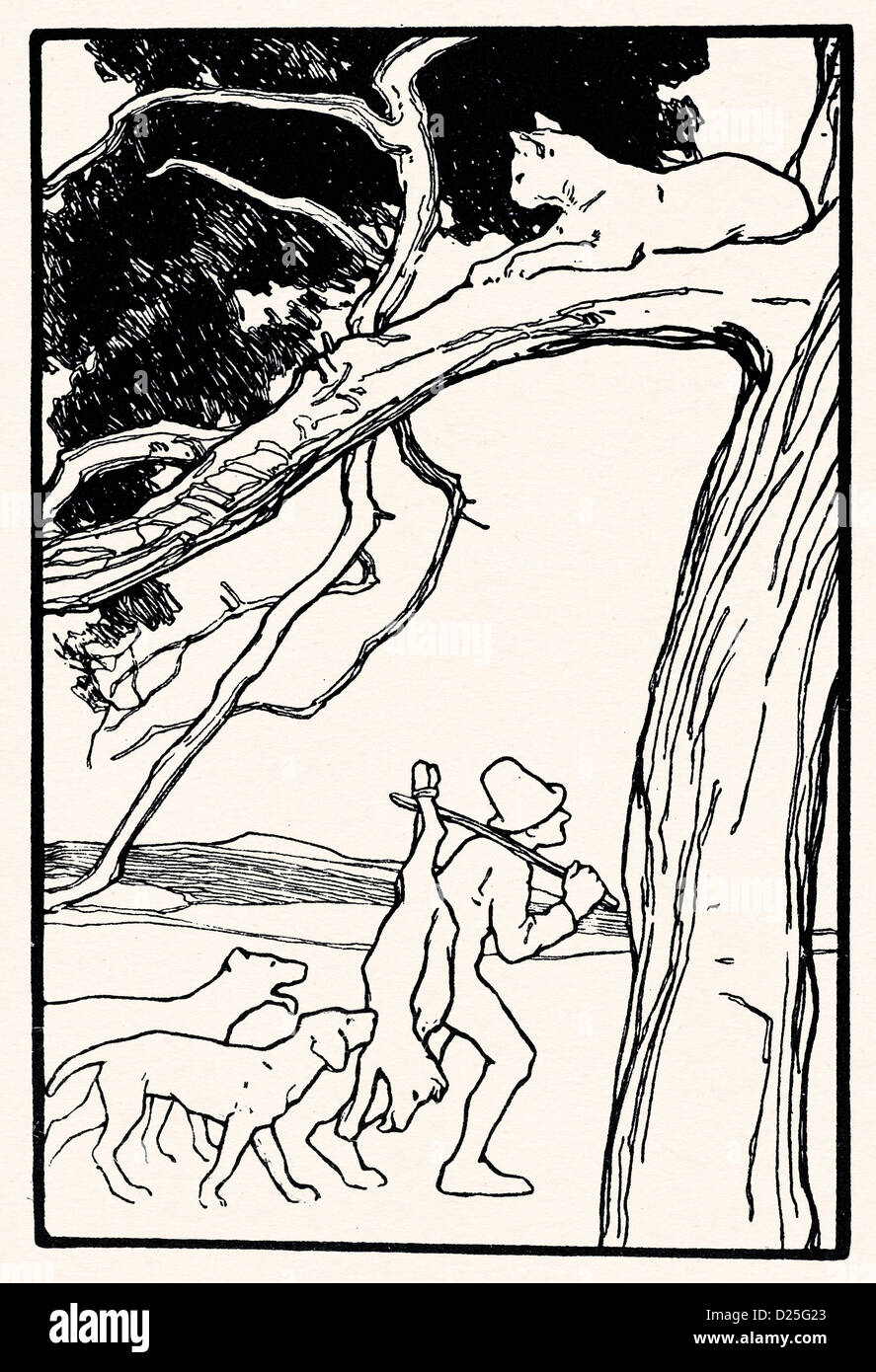 Hunter and hunted wolf Stock Photo - Alamy