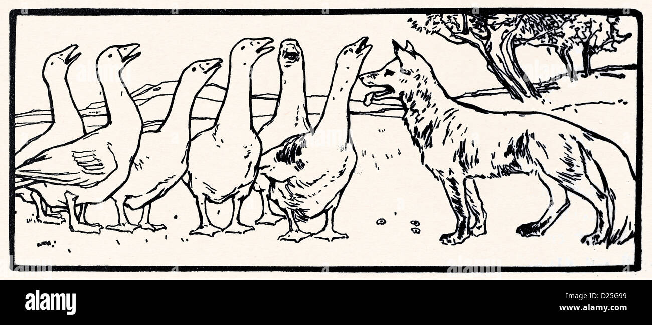 Fox creature hi-res stock photography and images - Alamy