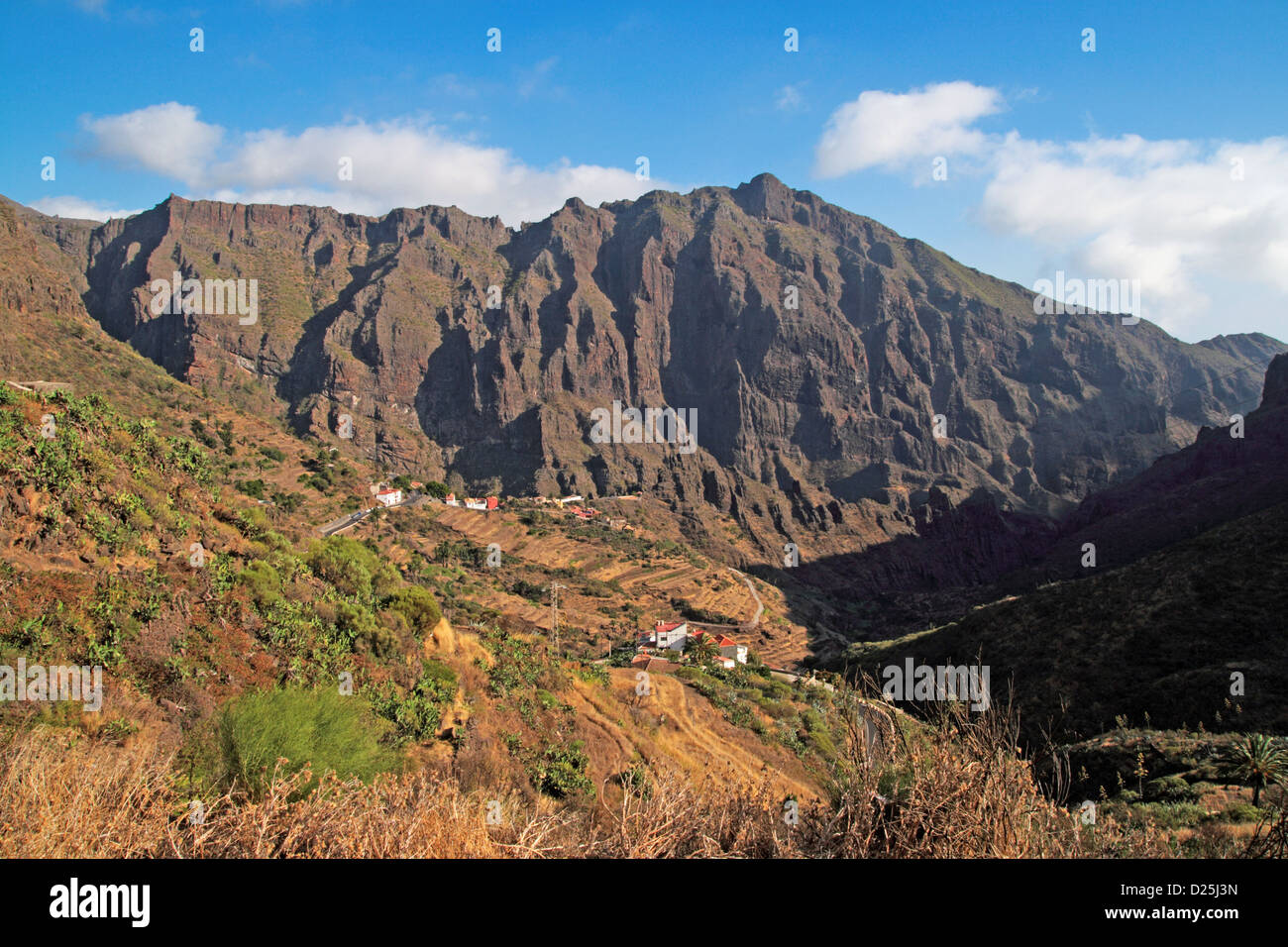 landscape in the Canaries Stock Photo - Alamy