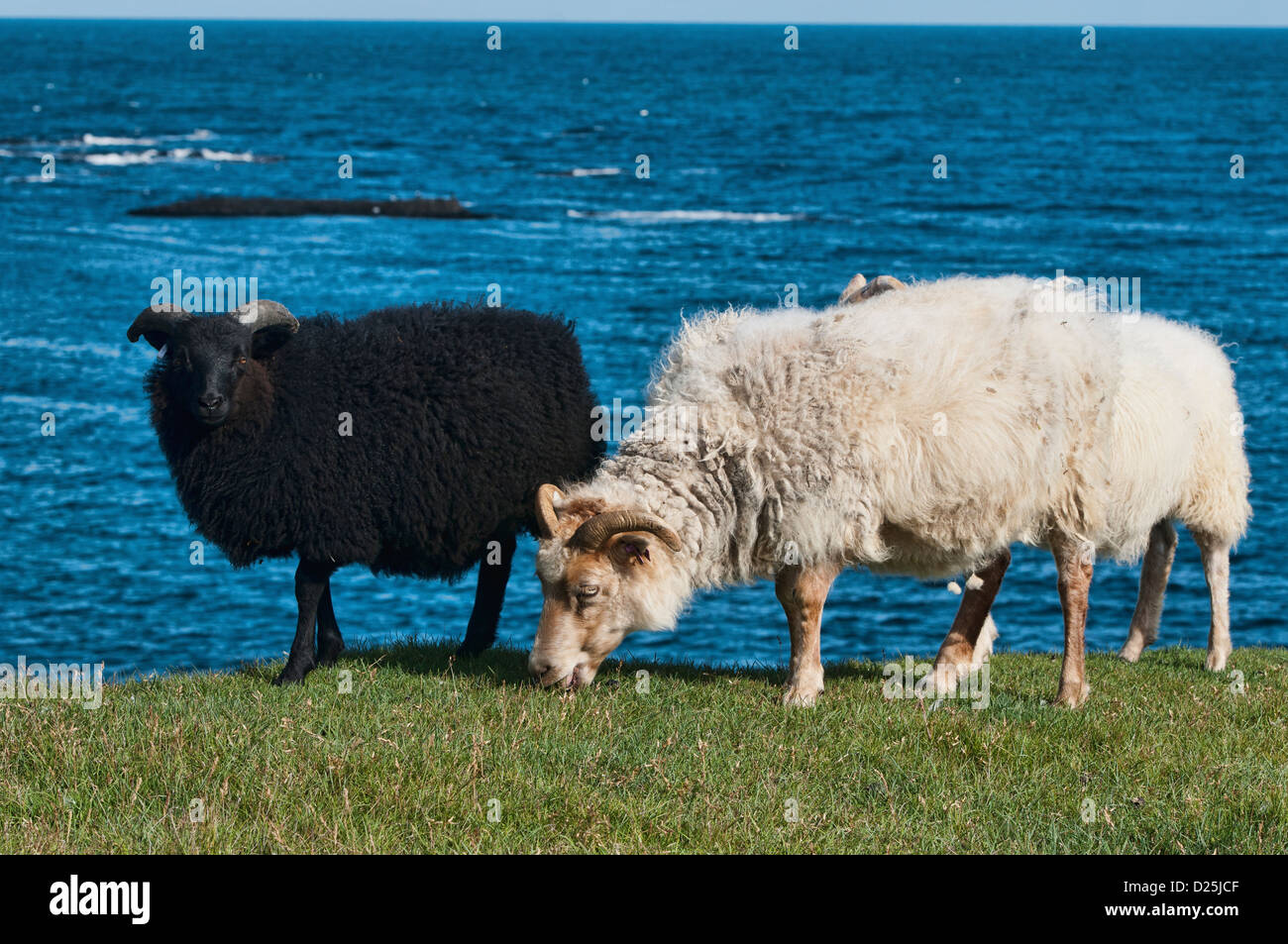 Raudanes iceland hi-res stock photography and images - Alamy