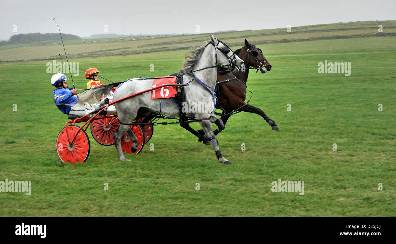 Harness racing hi-res stock photography and images - Alamy