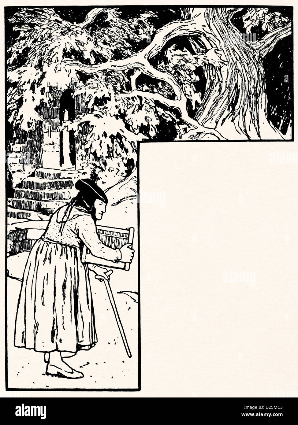 Enchanted forest illustration hi-res stock photography and images - Alamy