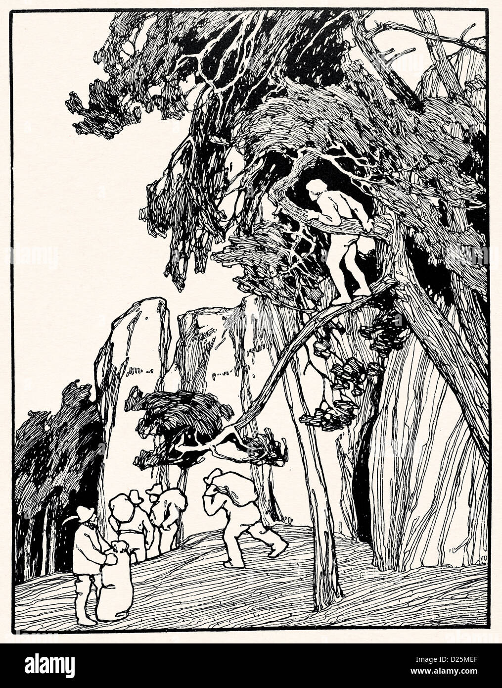 Crime tree hi-res stock photography and images - Alamy