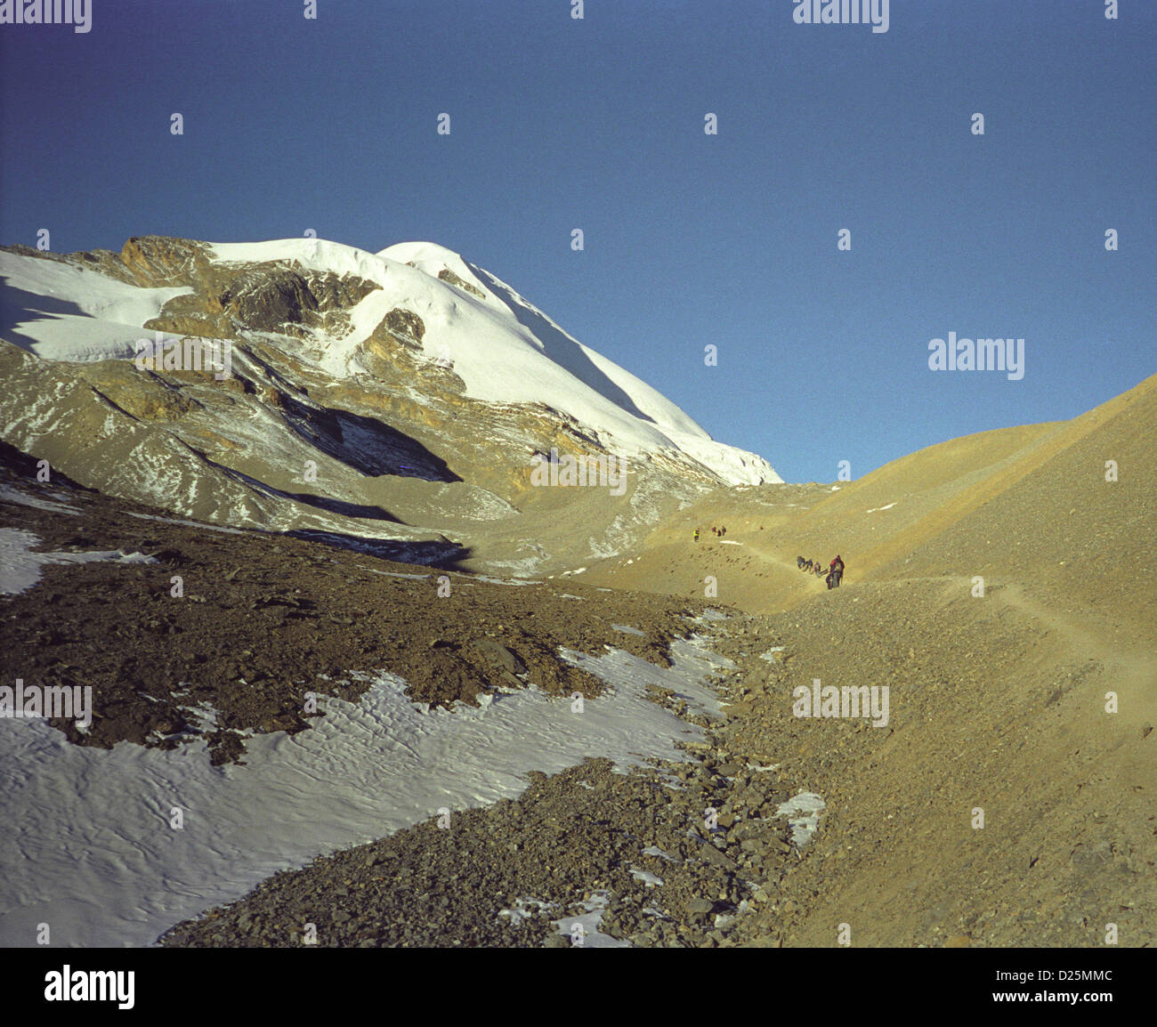 Thorung Phedi High Resolution Stock Photography and Images - Alamy