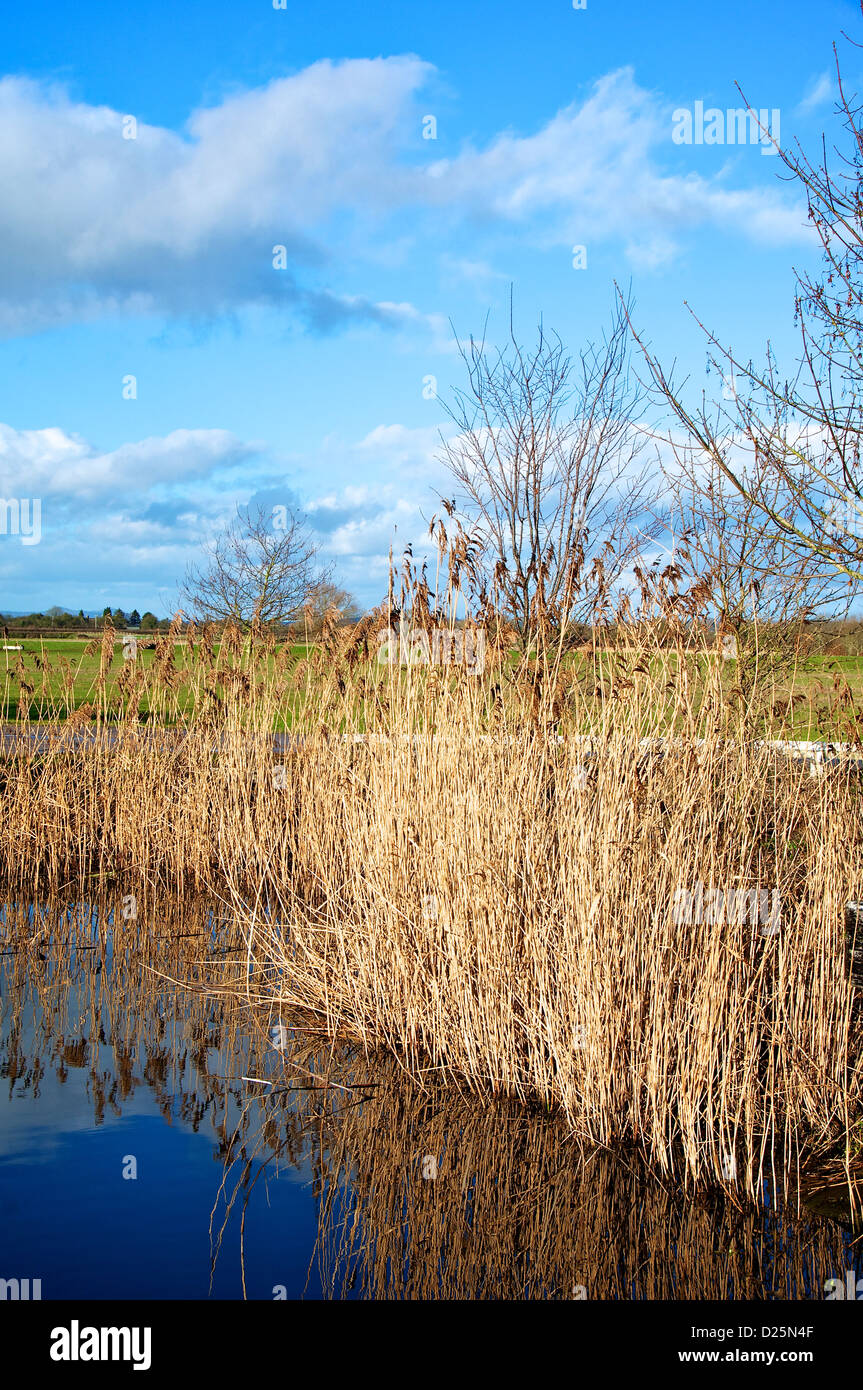 Saul Junction Sharpness Canal Gloucestershire UK Stock Photo - Alamy