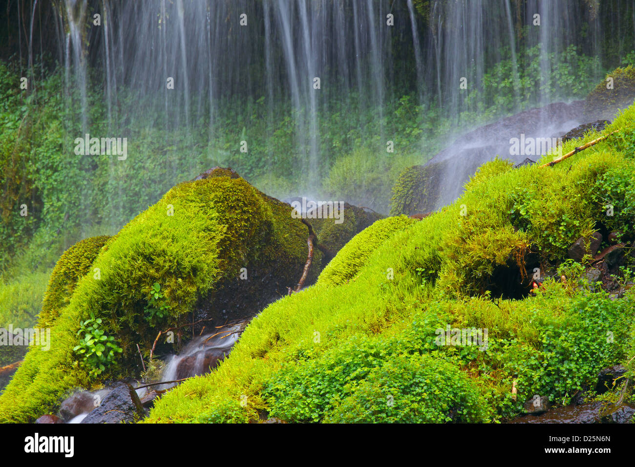 Doryu Waterfall, Yamanashi Prefecture Stock Photo - Alamy