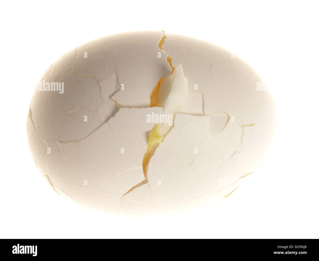 Cracked egg nest Cut Out Stock Images & Pictures - Alamy
