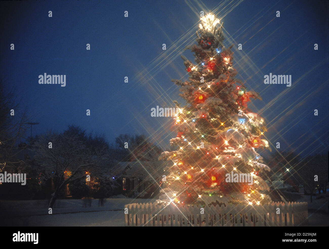 Outdoor Christmas Tree Stock Photo - Alamy