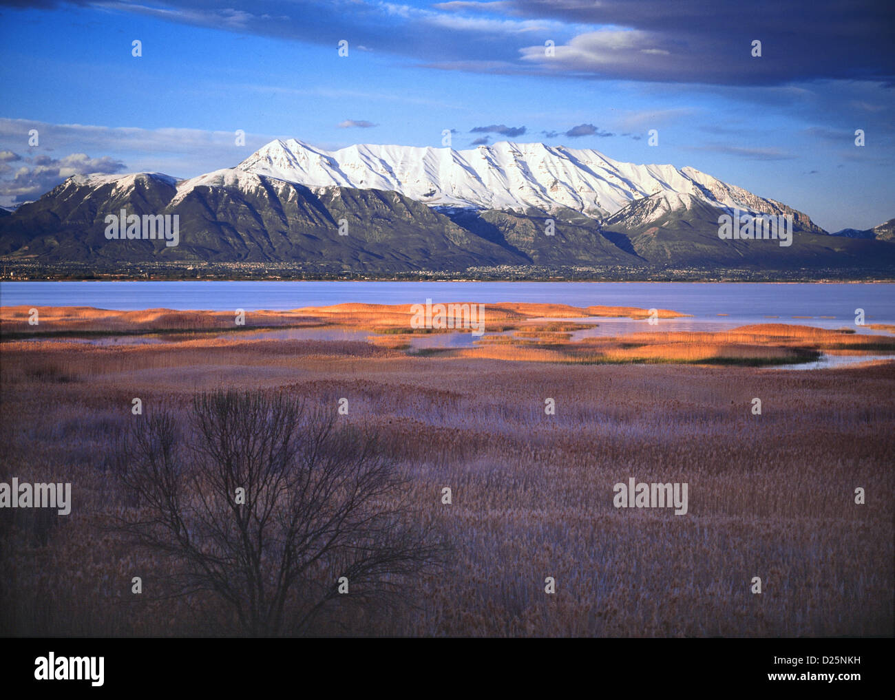 Mt timpanogos and utah lake hi-res stock photography and images - Alamy