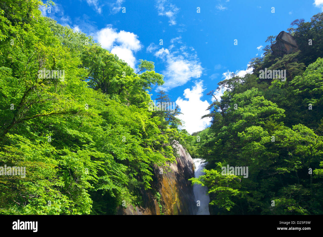 Yamanashi forest High Resolution Stock Photography and Images - Alamy