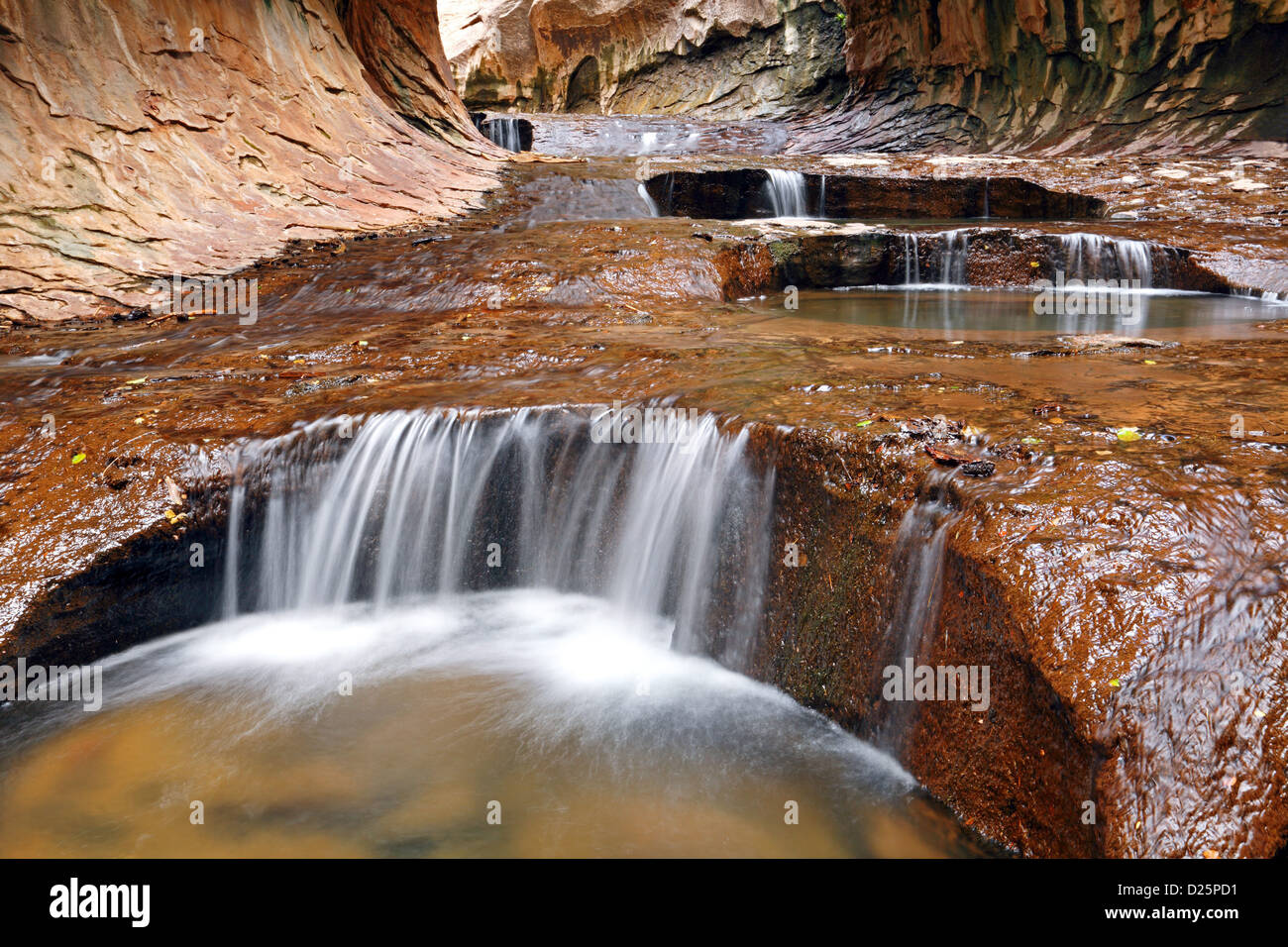The Subway of Left Fork Creek, Zion Nationalpark, UT, USA Stock Photo ...