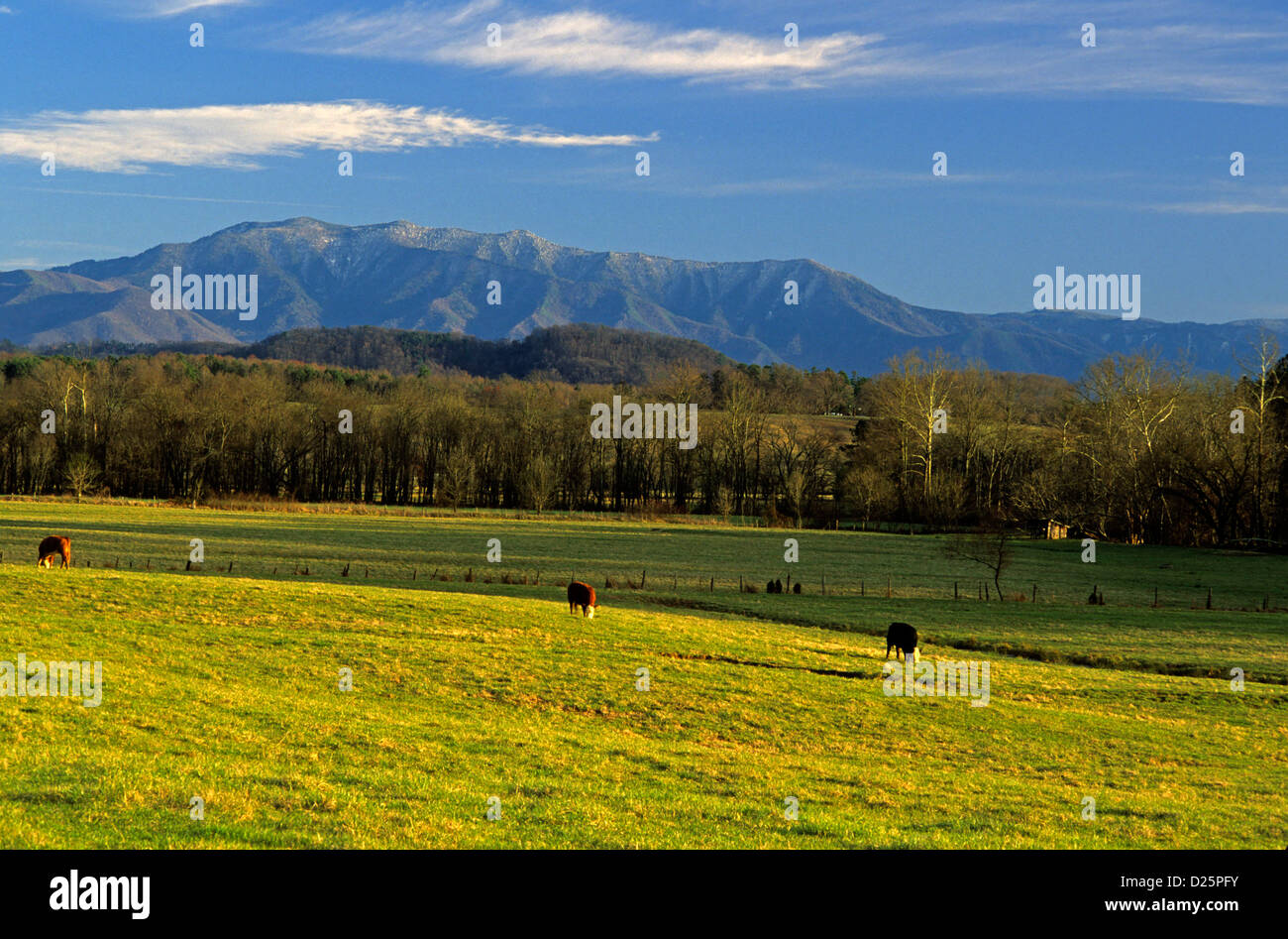 Mt leconte hi-res stock photography and images - Alamy