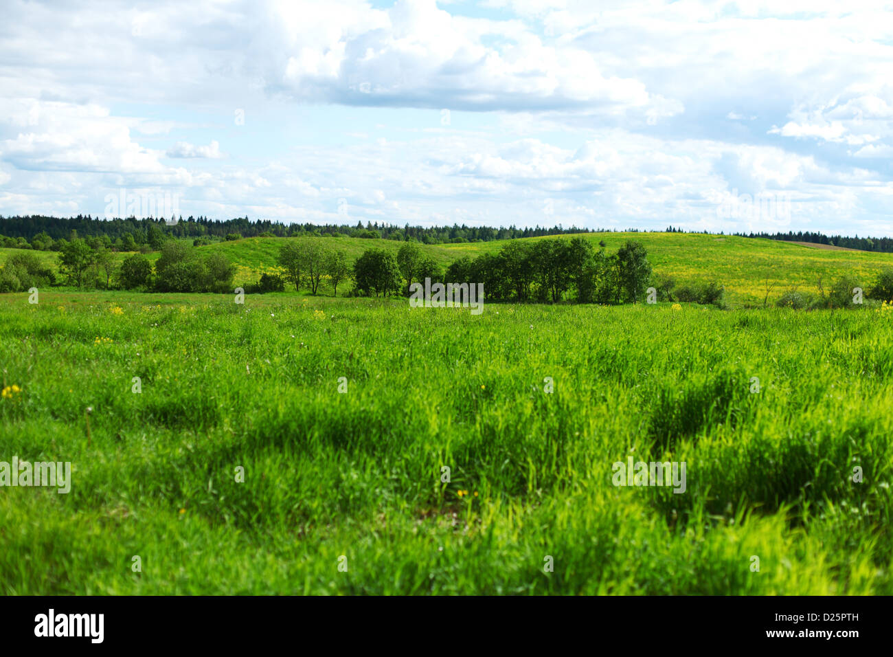 green grass field nature landscape Stock Photo - Alamy