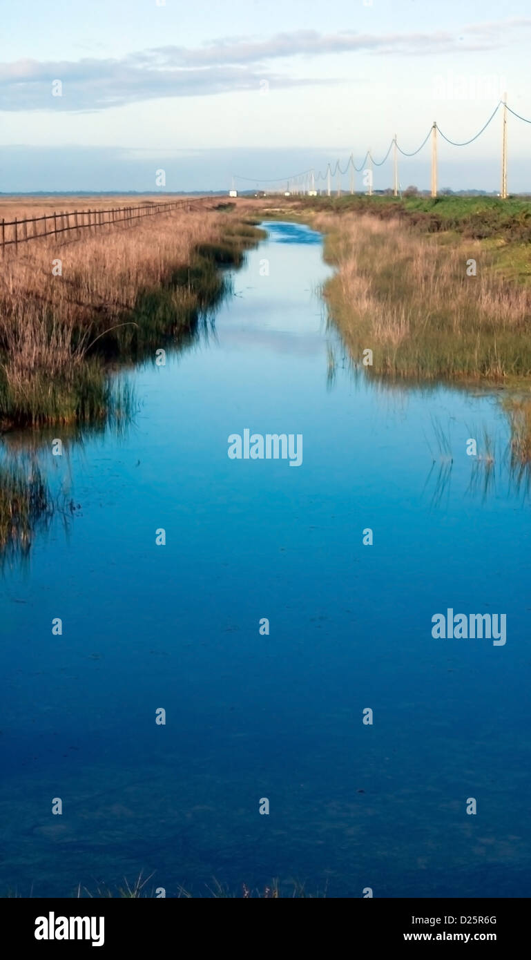 Landscape in the everglades at dawn Stock Photo - Alamy