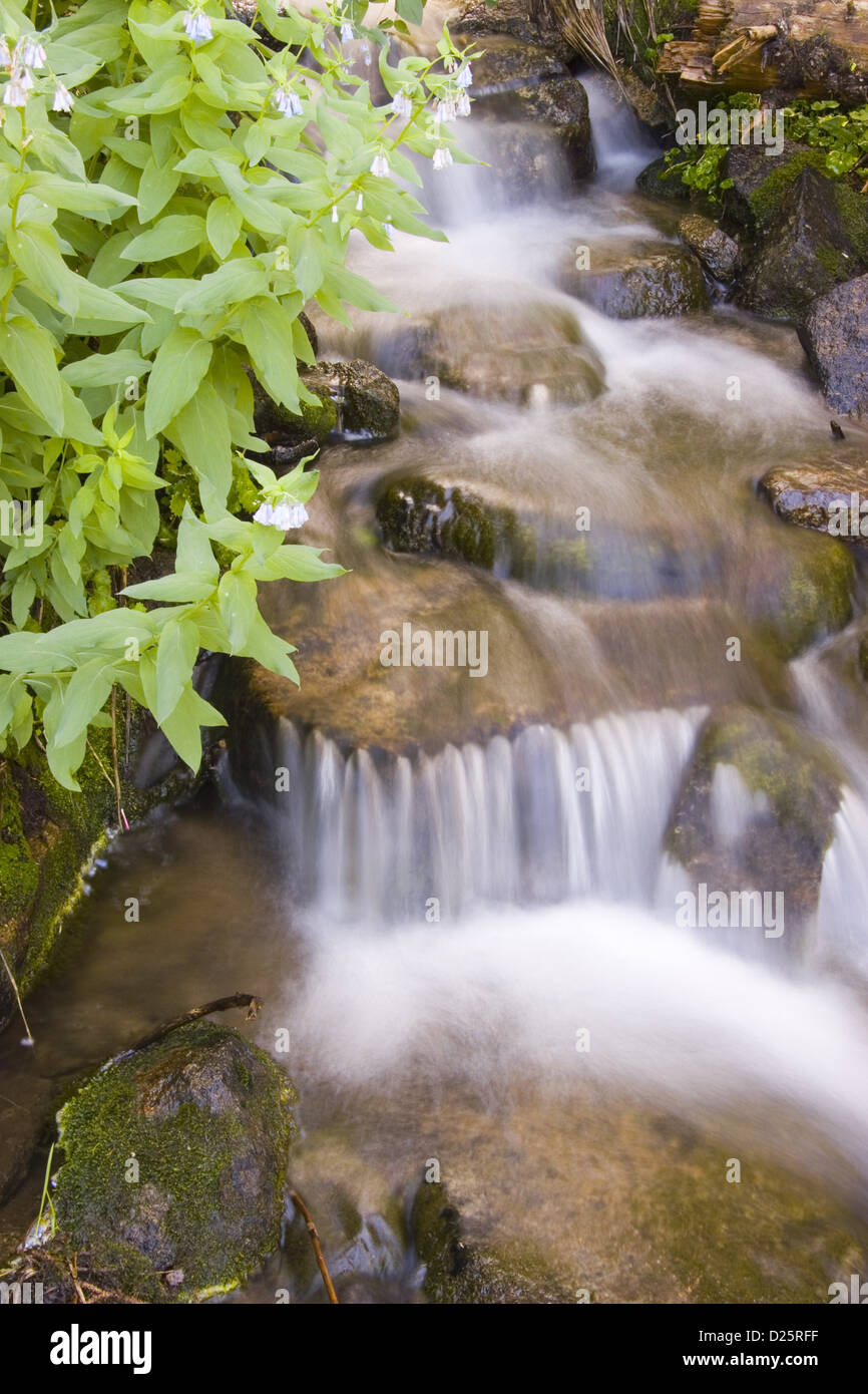 Waterfall and Rocks Stock Photo - Alamy