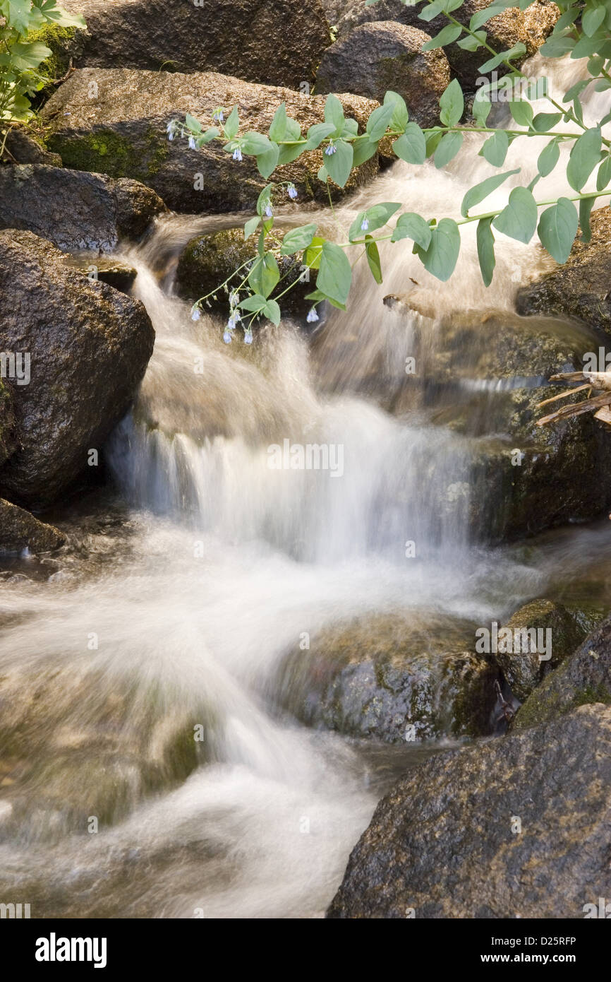 Waterfall and Rocks Stock Photo - Alamy