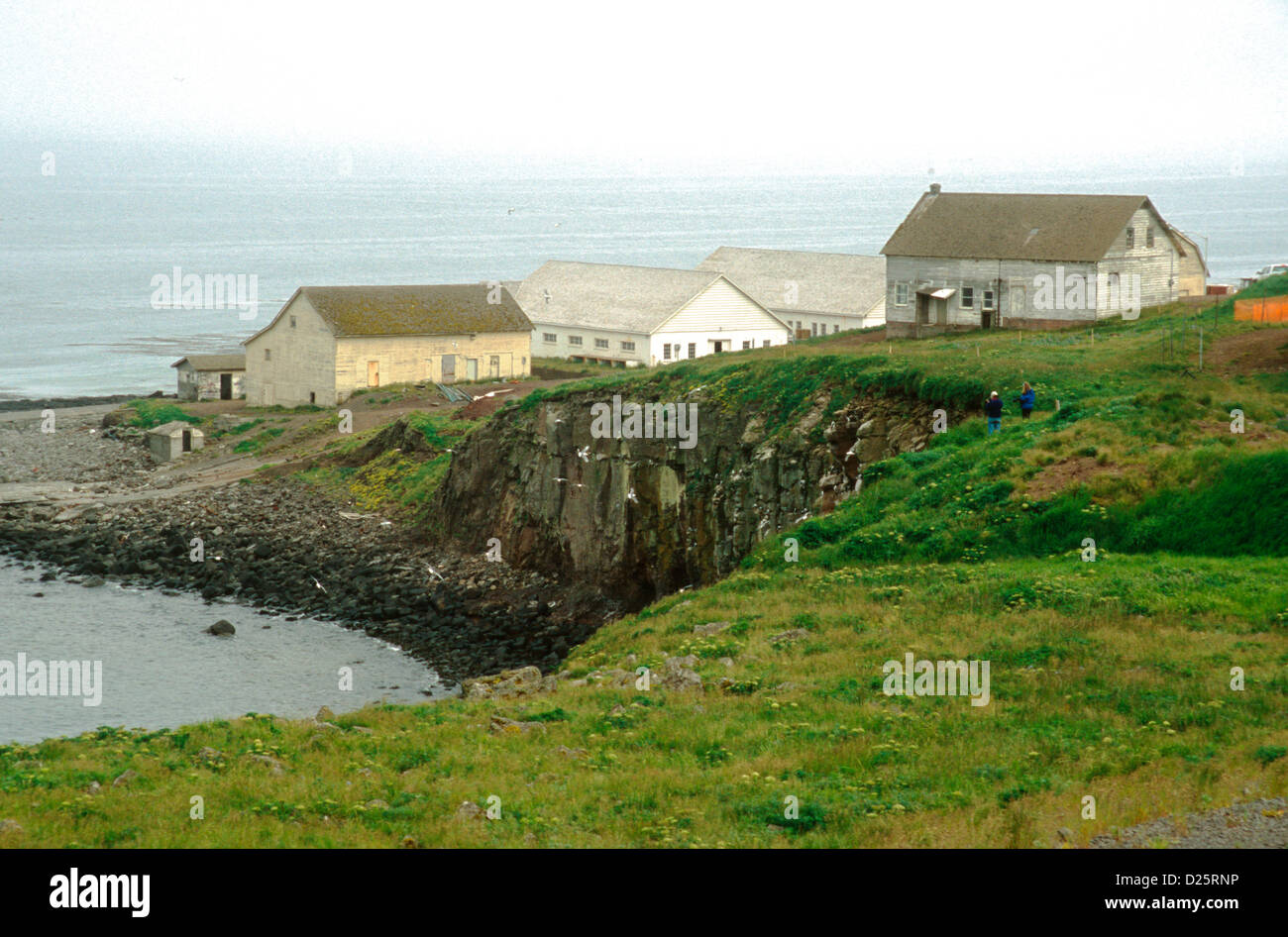 St george sealing plant hi-res stock photography and images - Alamy