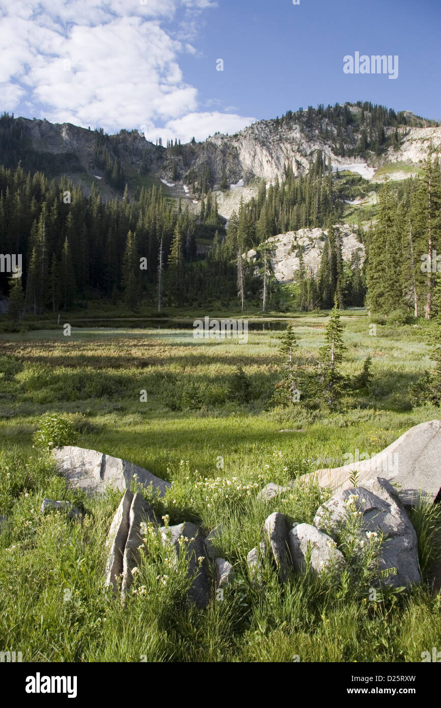 Alpine meadows resort mountain hi-res stock photography and images - Alamy