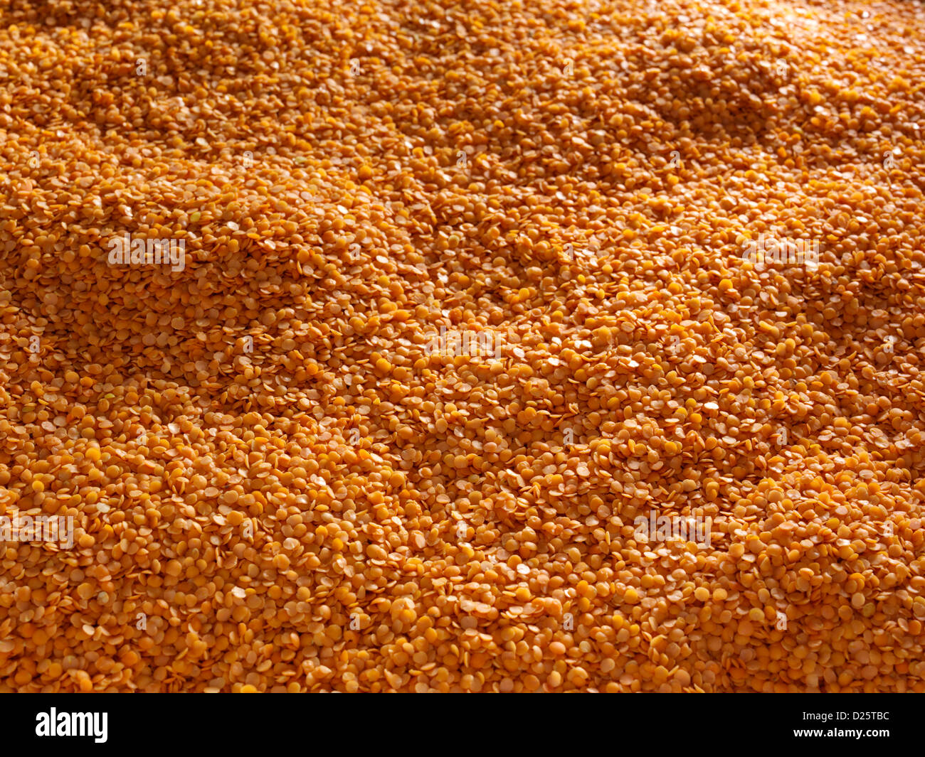 Entire frame red split lentils Stock Photo - Alamy