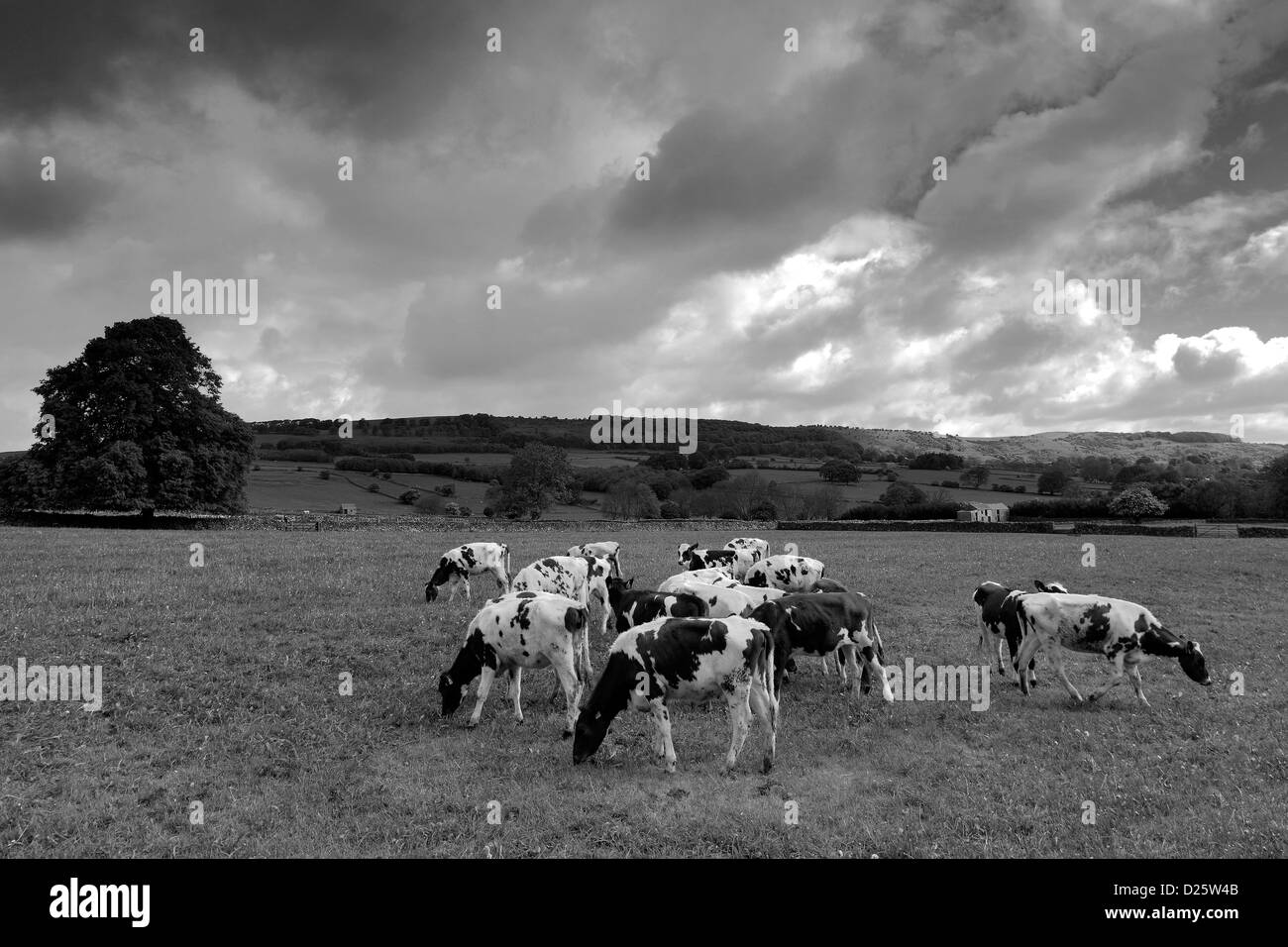 Longstone Edge Derbyshire Stock Photos & Longstone Edge Derbyshire ...