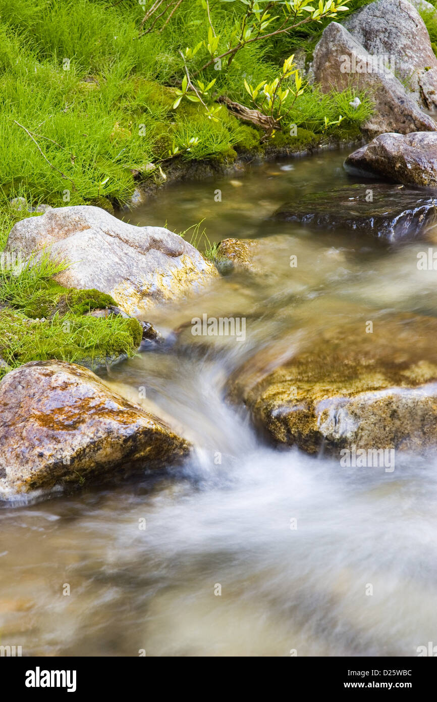 Mountain Stream and Rock Stock Photo - Alamy