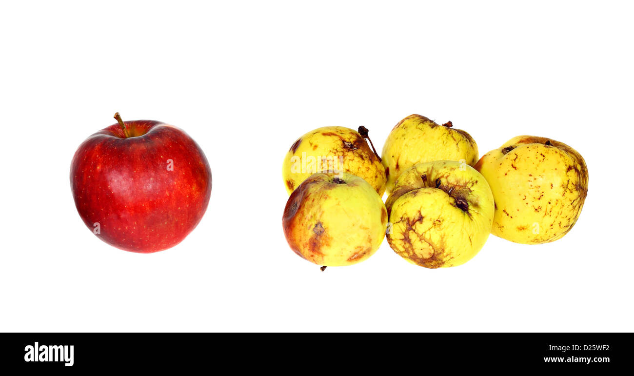 Good apple rotten apple hi-res stock photography and images - Alamy