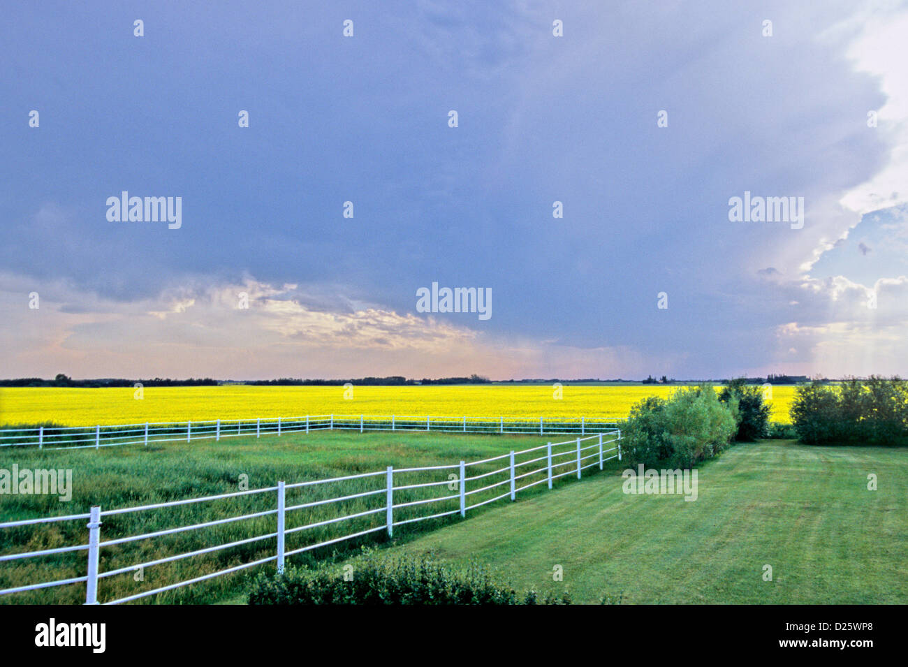 Thunder clouds 4 hi-res stock photography and images - Alamy