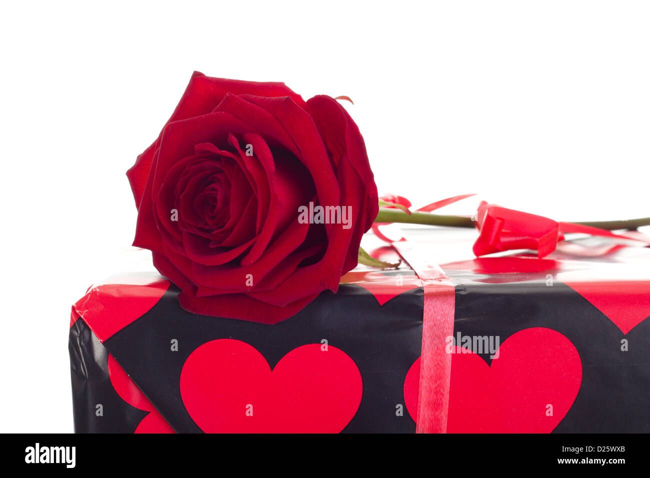 Beautiful rose with gift Stock Photo - Alamy
