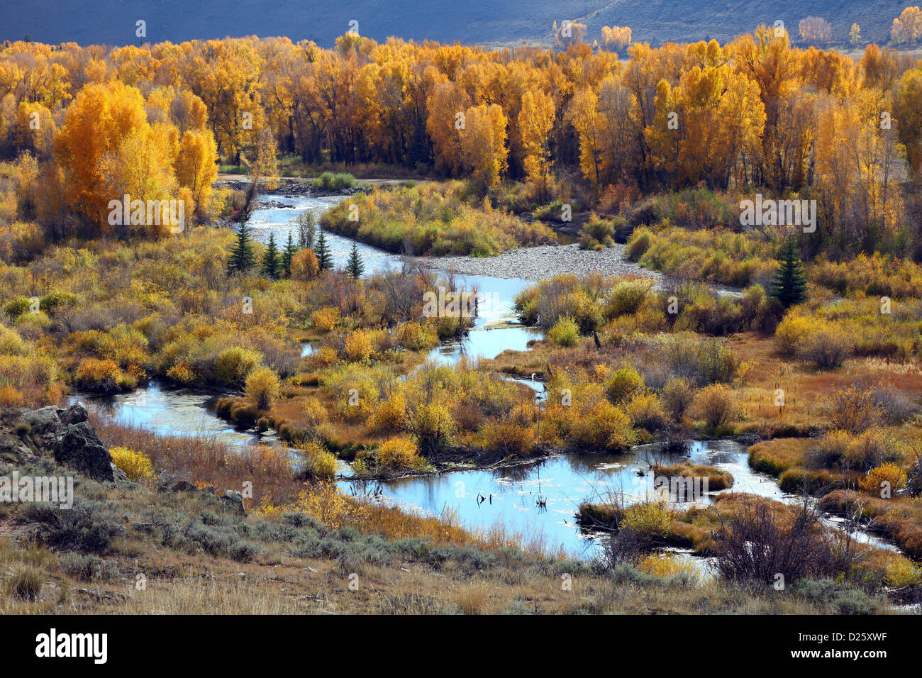 Fluss gunnison hi-res stock photography and images - Alamy