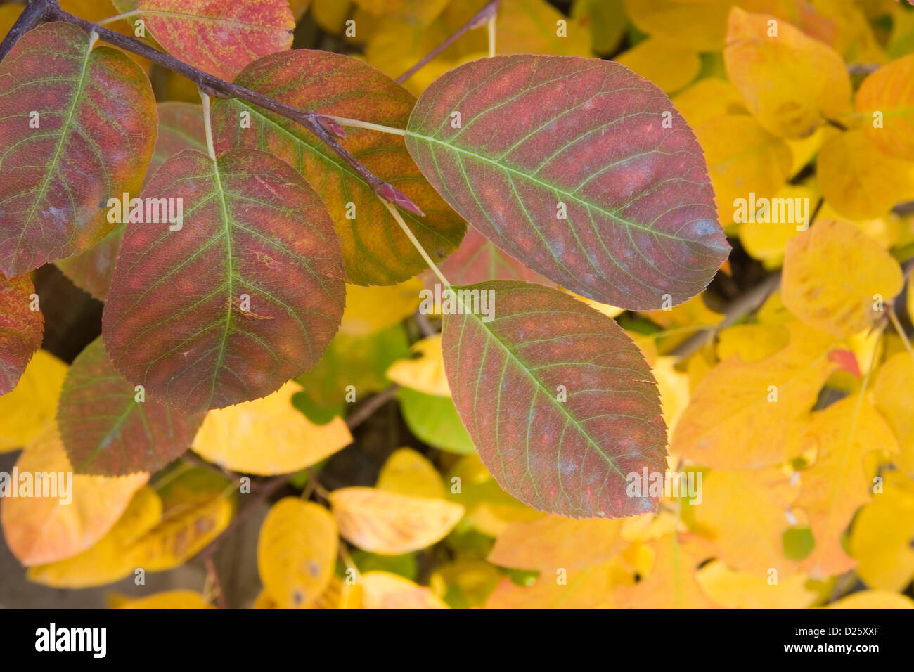Seasons change hi-res stock photography and images - Alamy