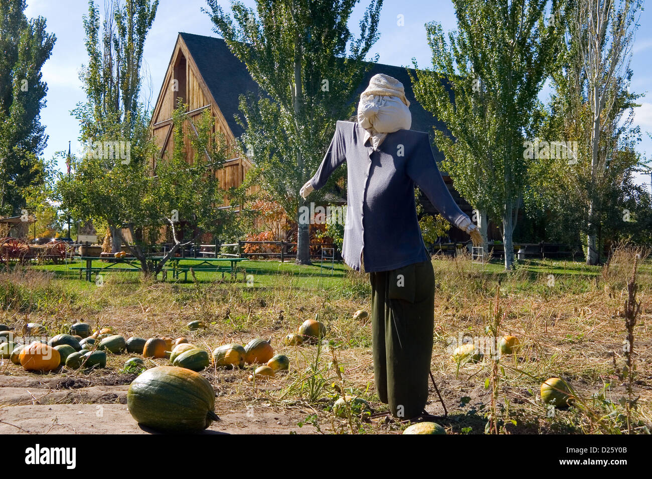 Scarecrow and Barn Stock Photo - Alamy