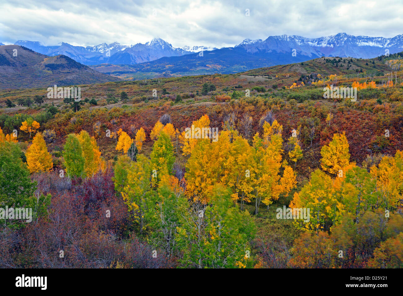 Mount Sneffels, View from Dallas Divide on the Sneffles Range at ...