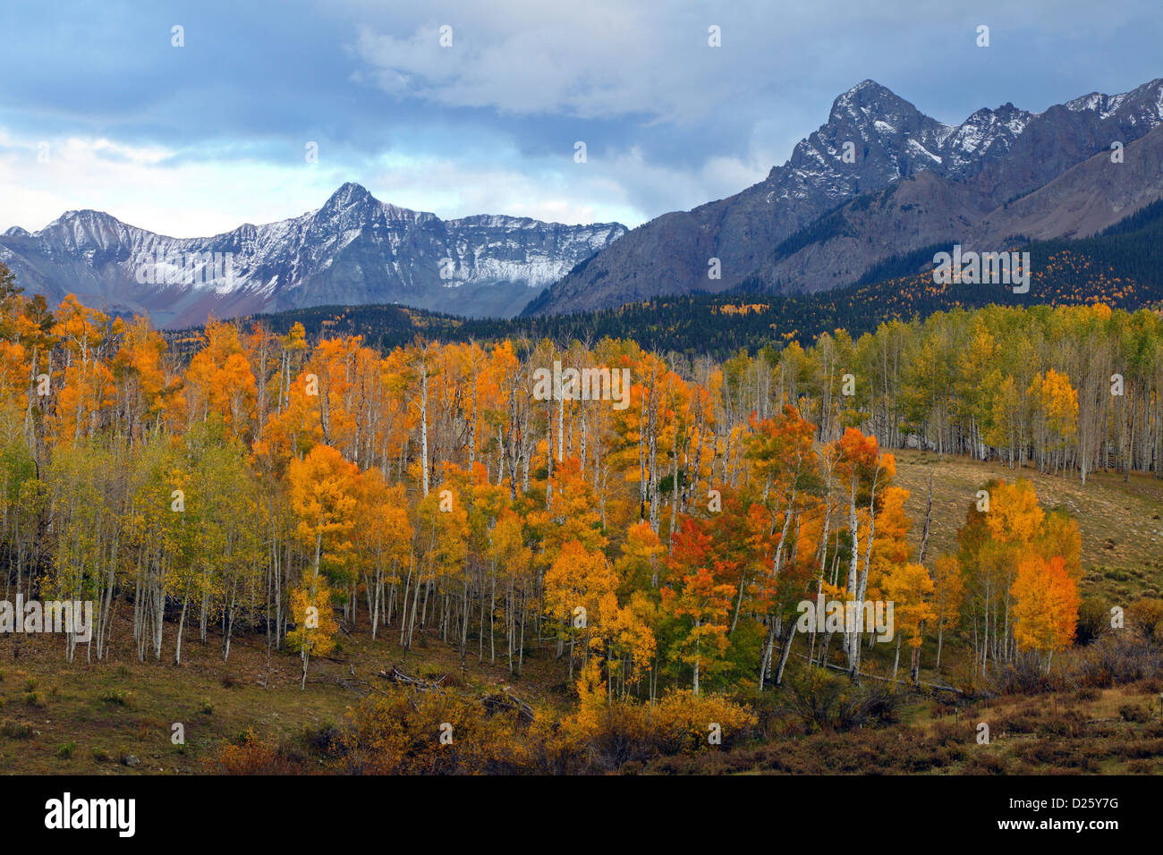 Mount Sneffels, View from Dallas Divide on the Sneffles Range at ...