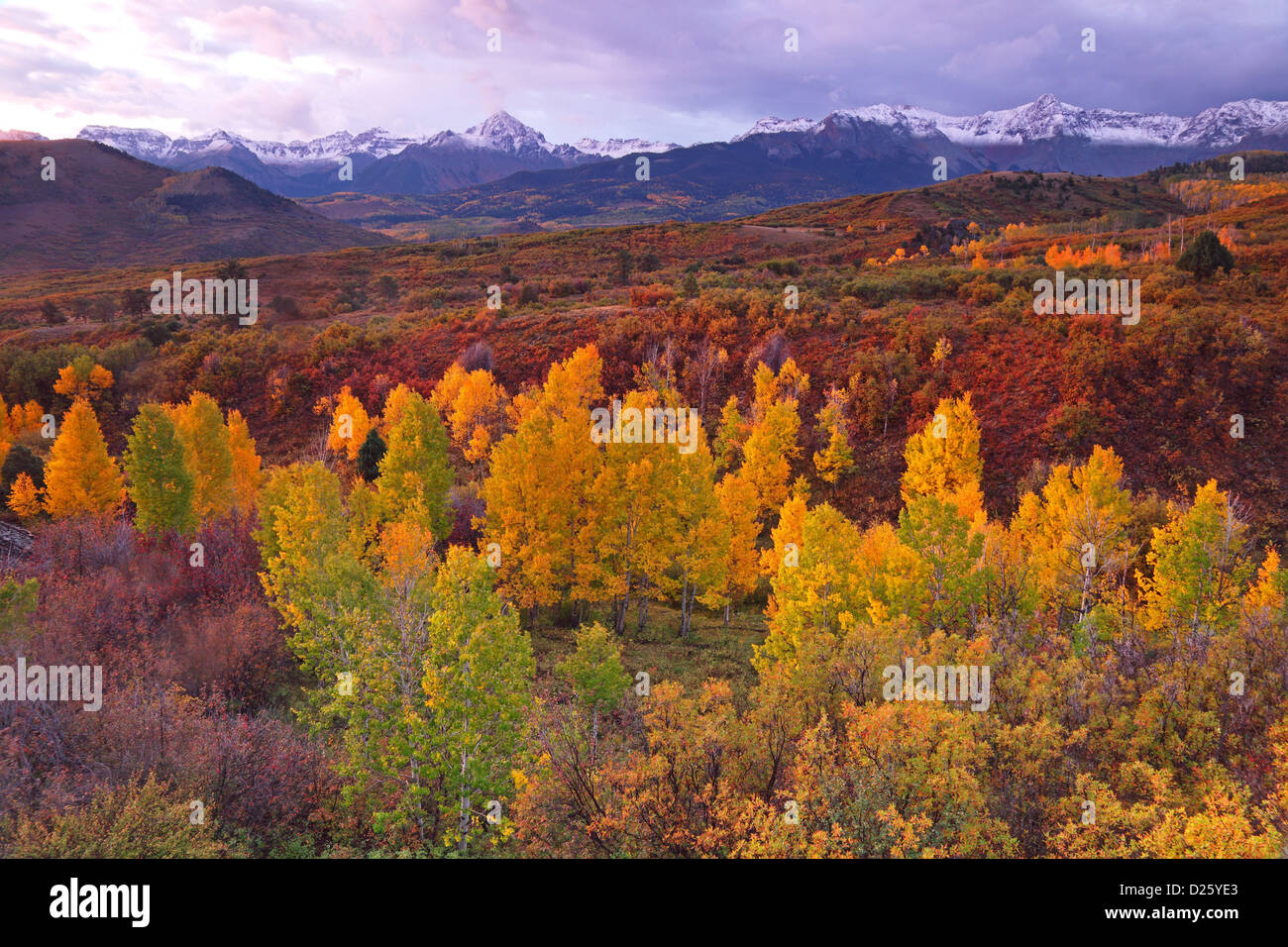 Mount Sneffels, View from Dallas Divide on the Sneffles Range at ...