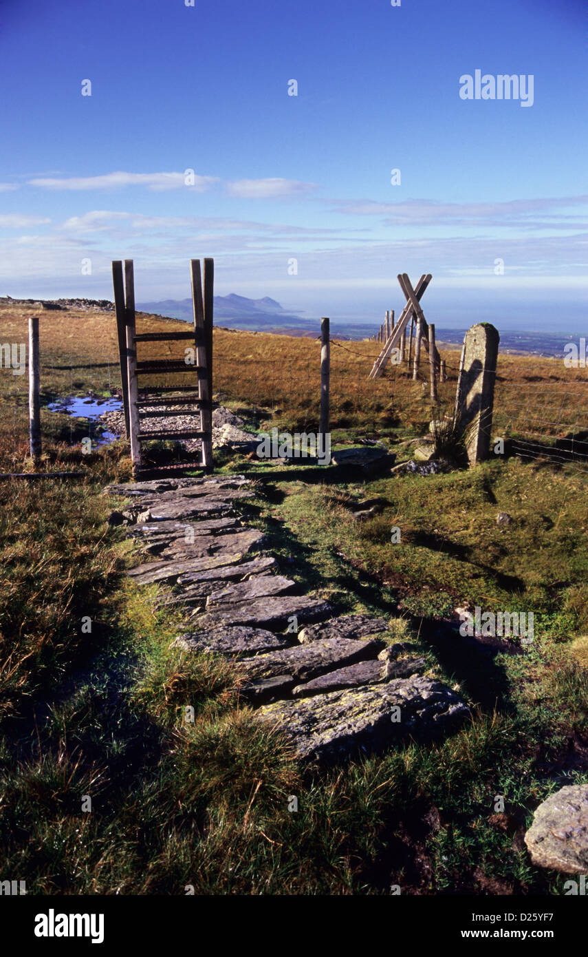 Over 3 metres hi-res stock photography and images - Alamy