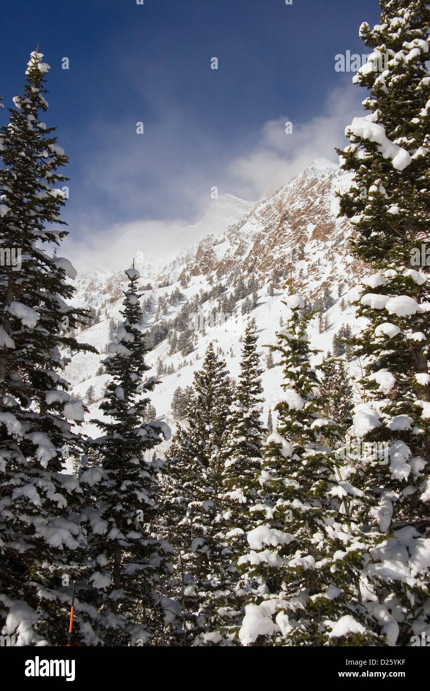 Snowy Winter Scene Stock Photo - Alamy