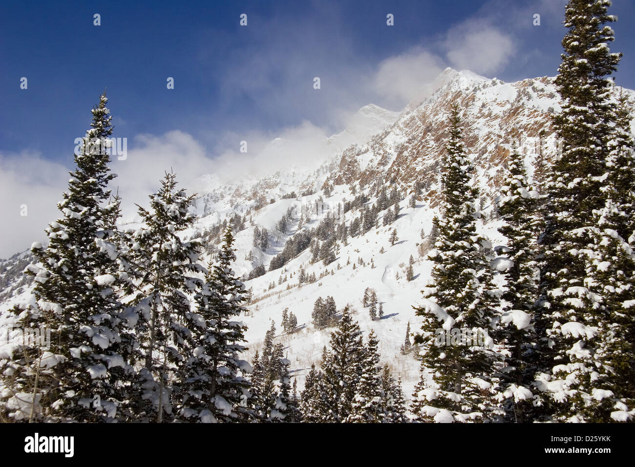 Snowy Winter Scene Stock Photo - Alamy