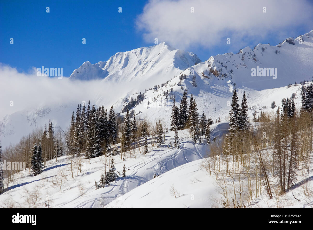 Snowy Winter Scene Stock Photo - Alamy