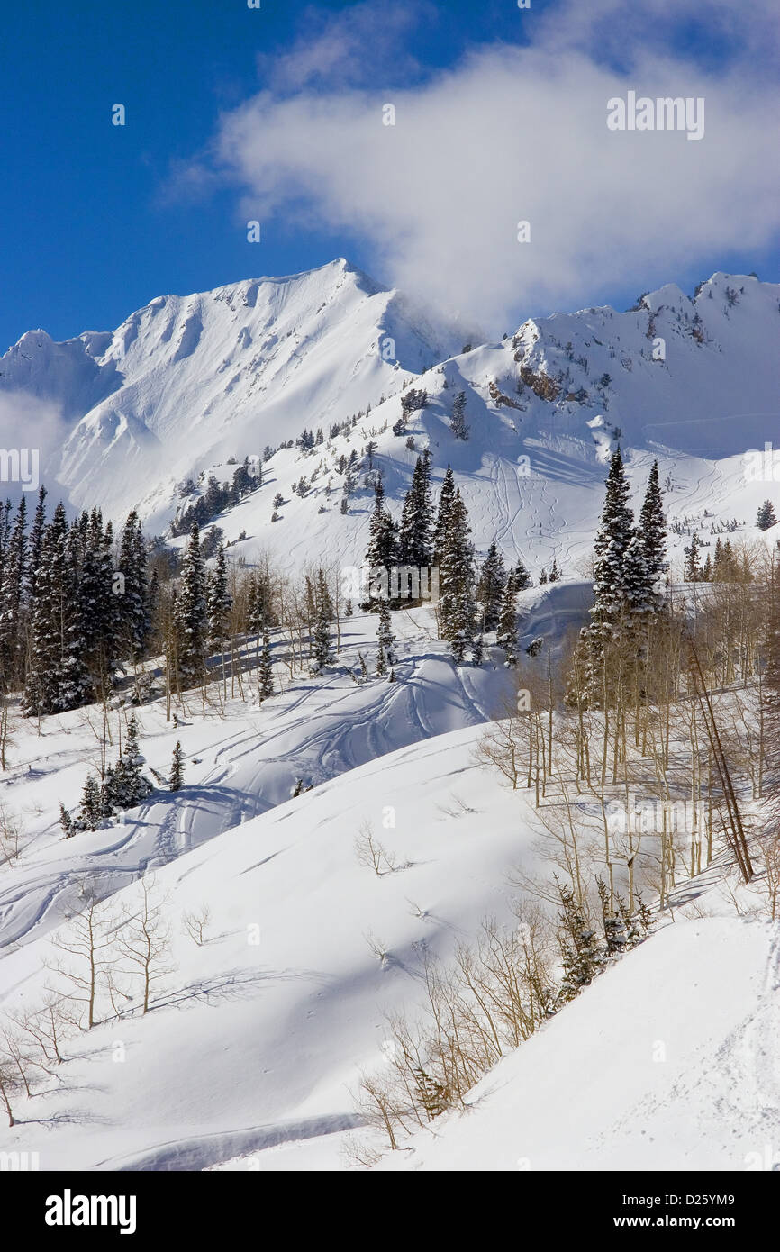 Snowy Winter Scene Stock Photo - Alamy